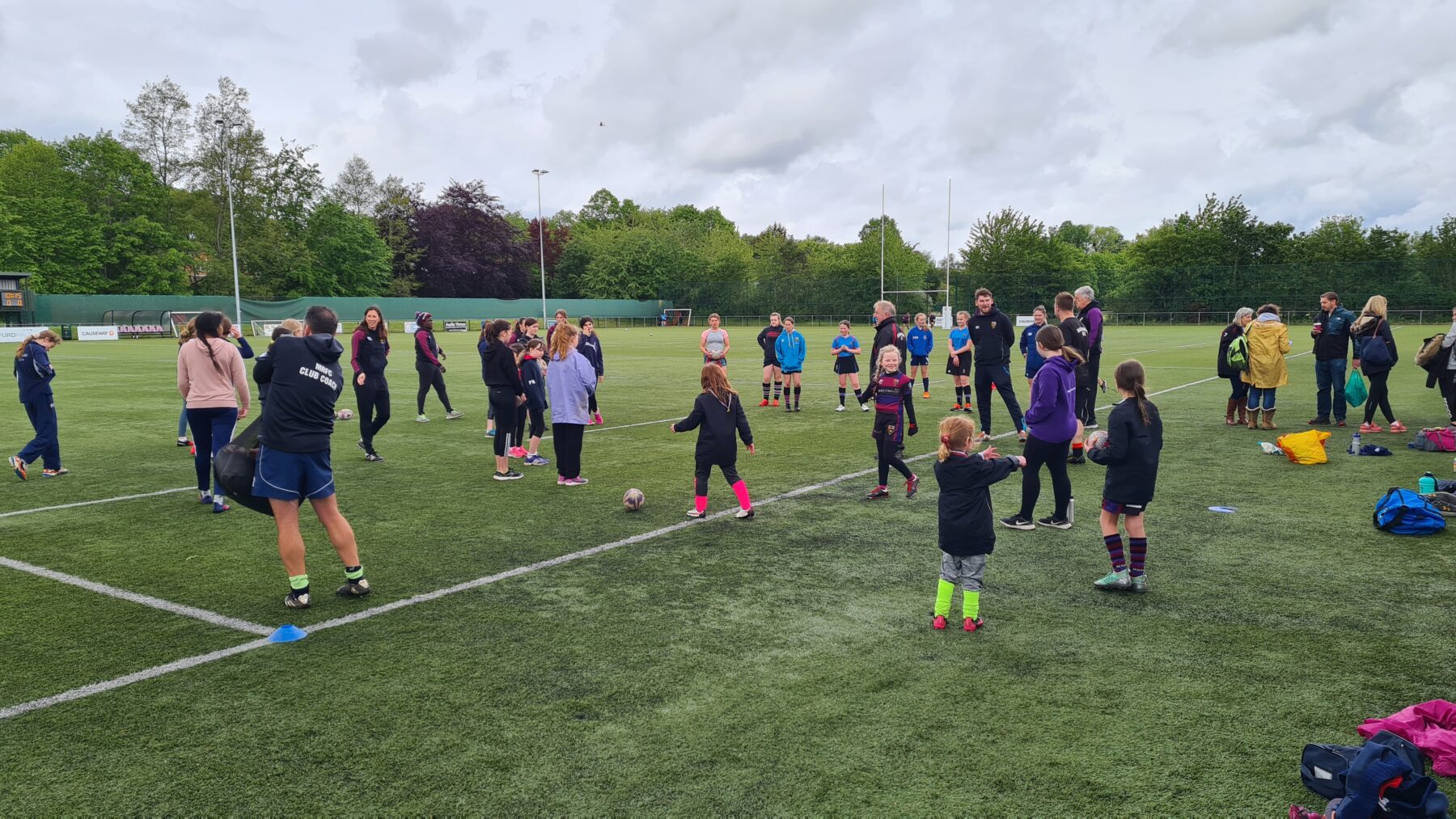 Maidenhead Rugby Club » #BLEED MAGENTA » Save Braywick Sports Park